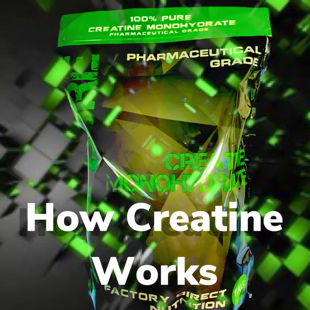Creatine 101 – FACTORY DIRECT NUTRITION